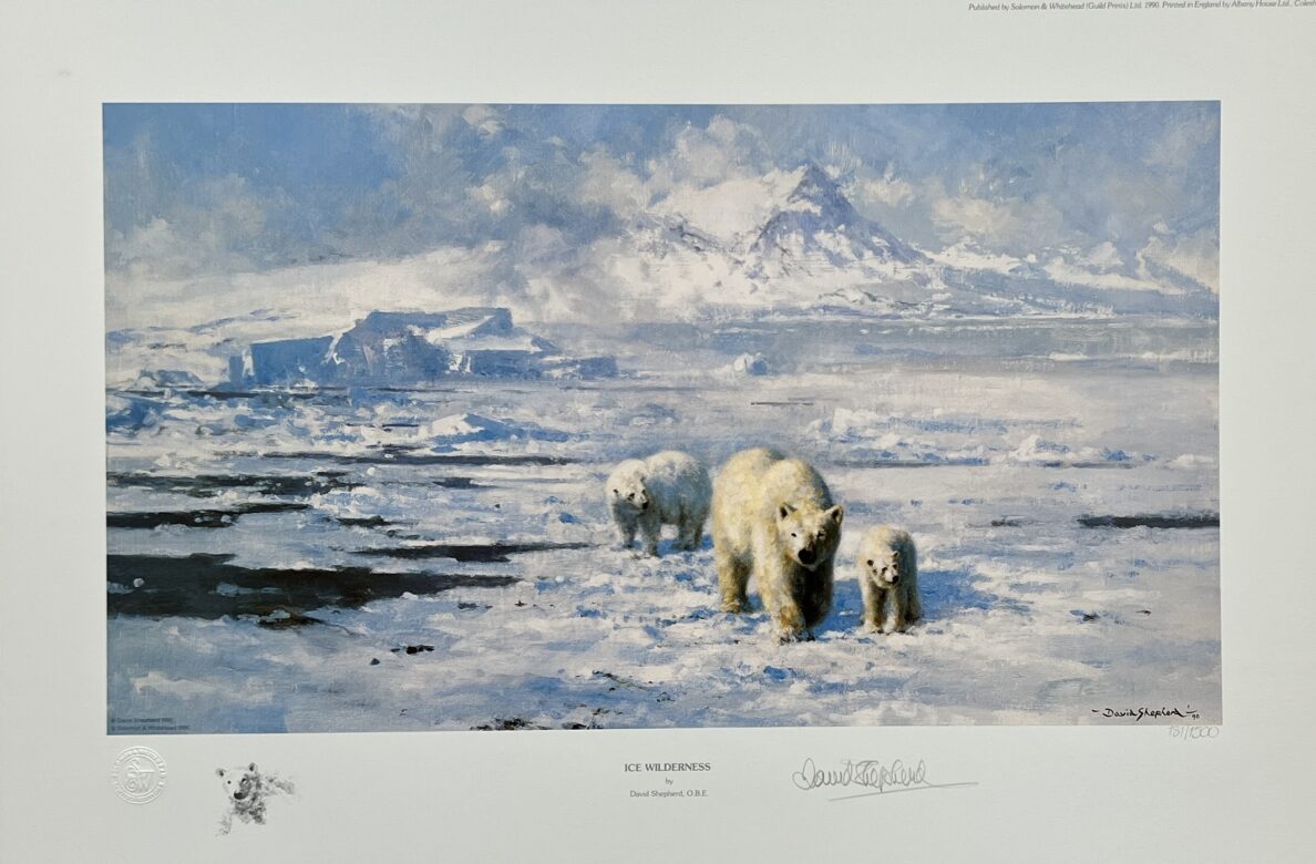 David Shepherd Artwork | David Shepherd Wildlife Foundation