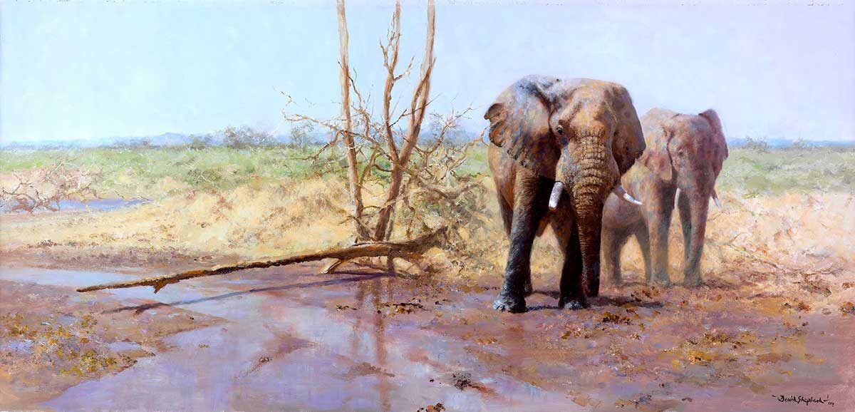 Elephant Art: Drawings, Paintings & More | David Shepherd Wildlife ...