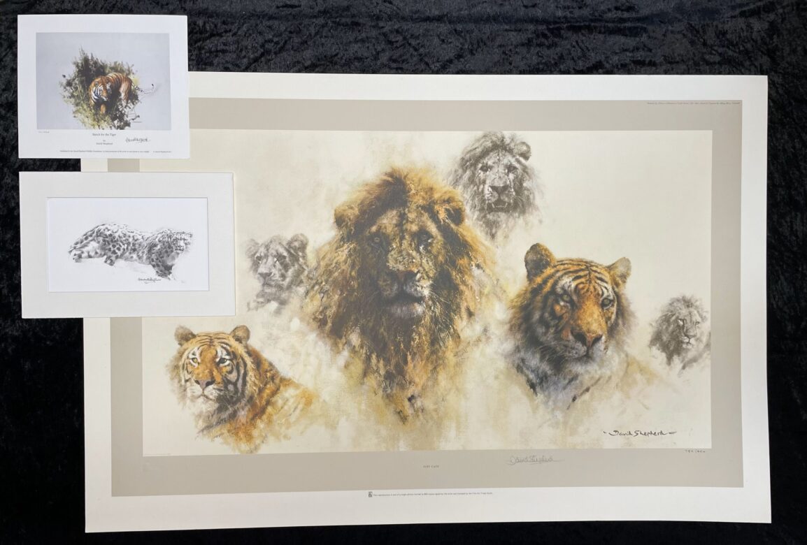 David Shepherd Art: Paintings & Prints | David Shepherd Wildlife Foundation