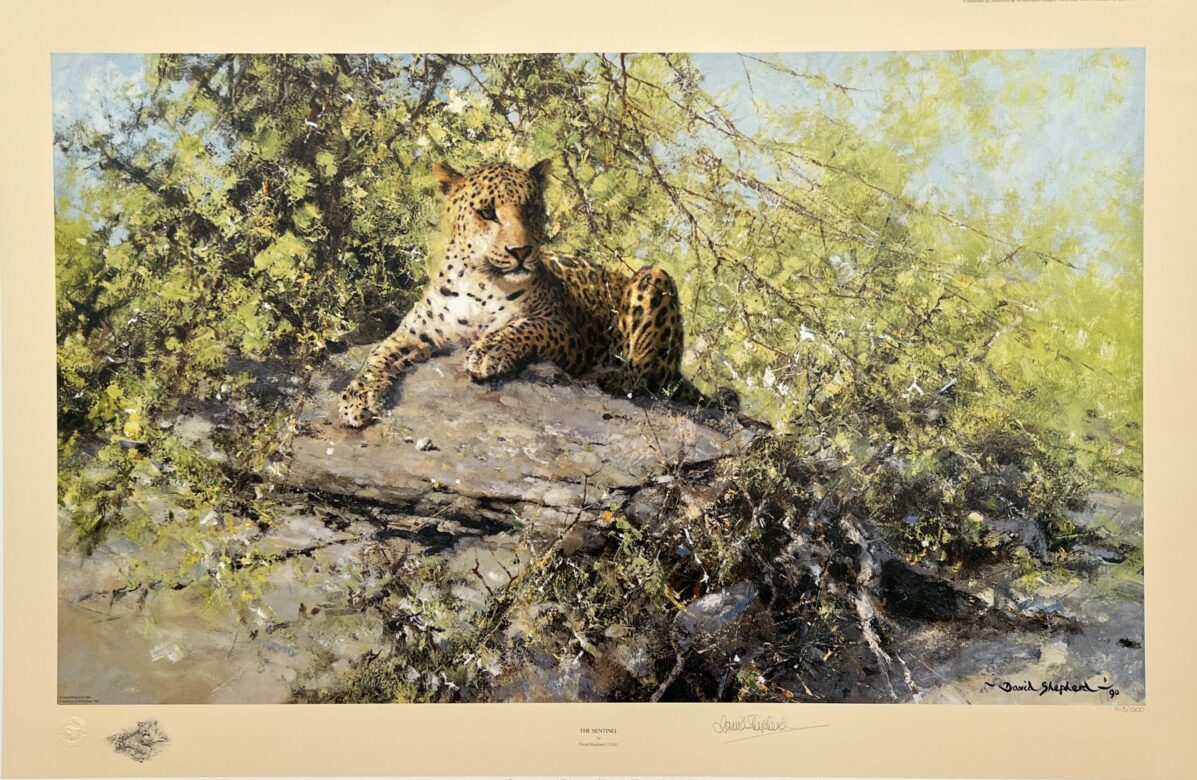 David Shepherd Art: Paintings & Prints | David Shepherd Wildlife Foundation