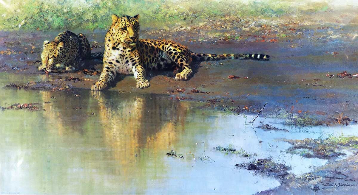 Buy Wildlife Art - Save Iconic Species | David Shepherd Wildlife Foundation
