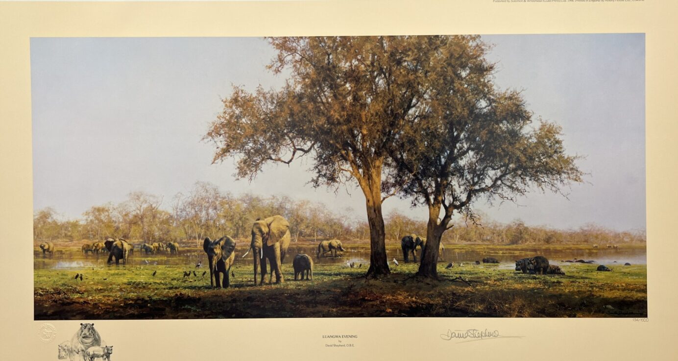 David Shepherd Art: Paintings & Prints | David Shepherd Wildlife Foundation