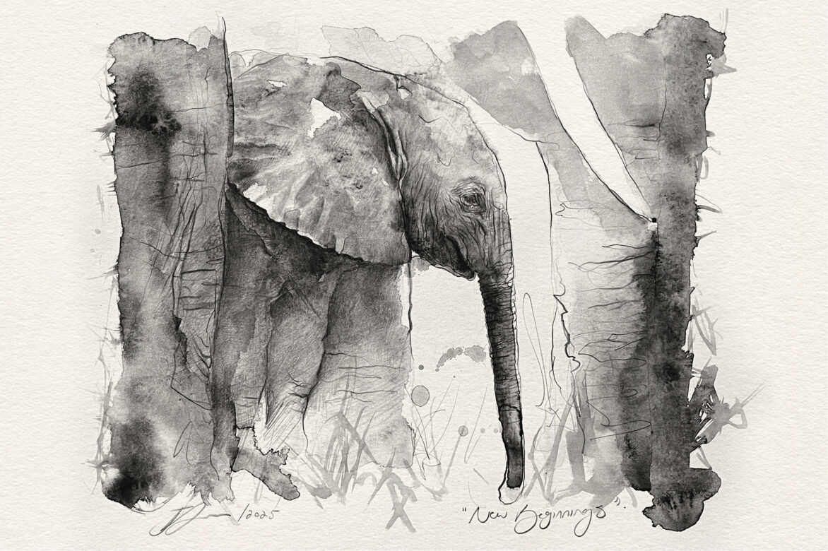 Elephant Art: Drawings, Paintings & More | David Shepherd Wildlife ...