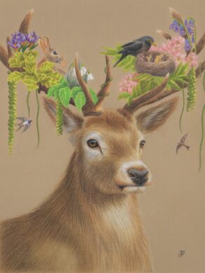 Jess Pritchard Artwork | David Shepherd Wildlife Foundation