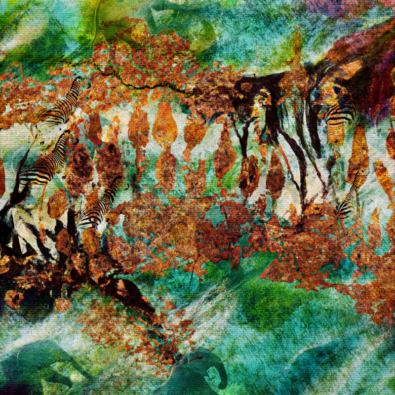 Elephant Art: Drawings, Paintings & More | David Shepherd Wildlife ...