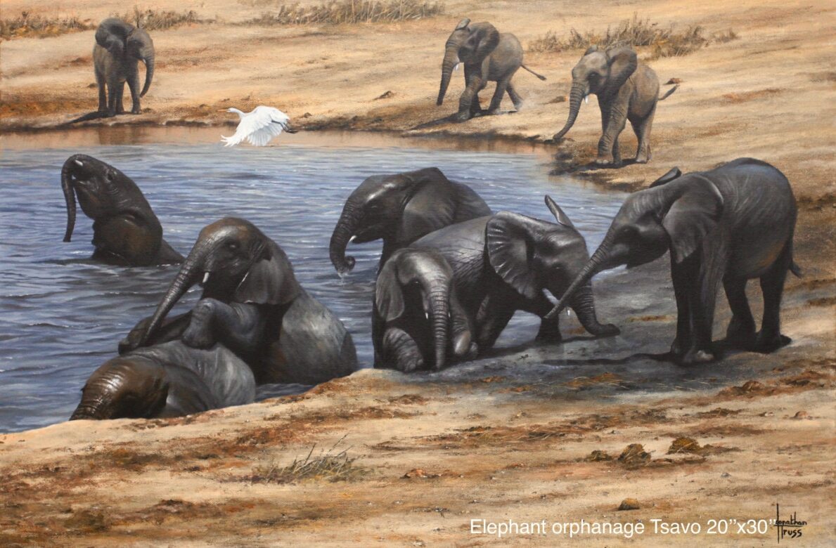Elephant Art: Drawings, Paintings & More | David Shepherd Wildlife ...