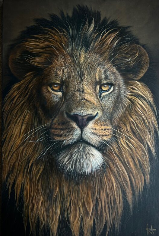Lion Conservation & Endangered Status | David Shepherd Wildlife Foundation
