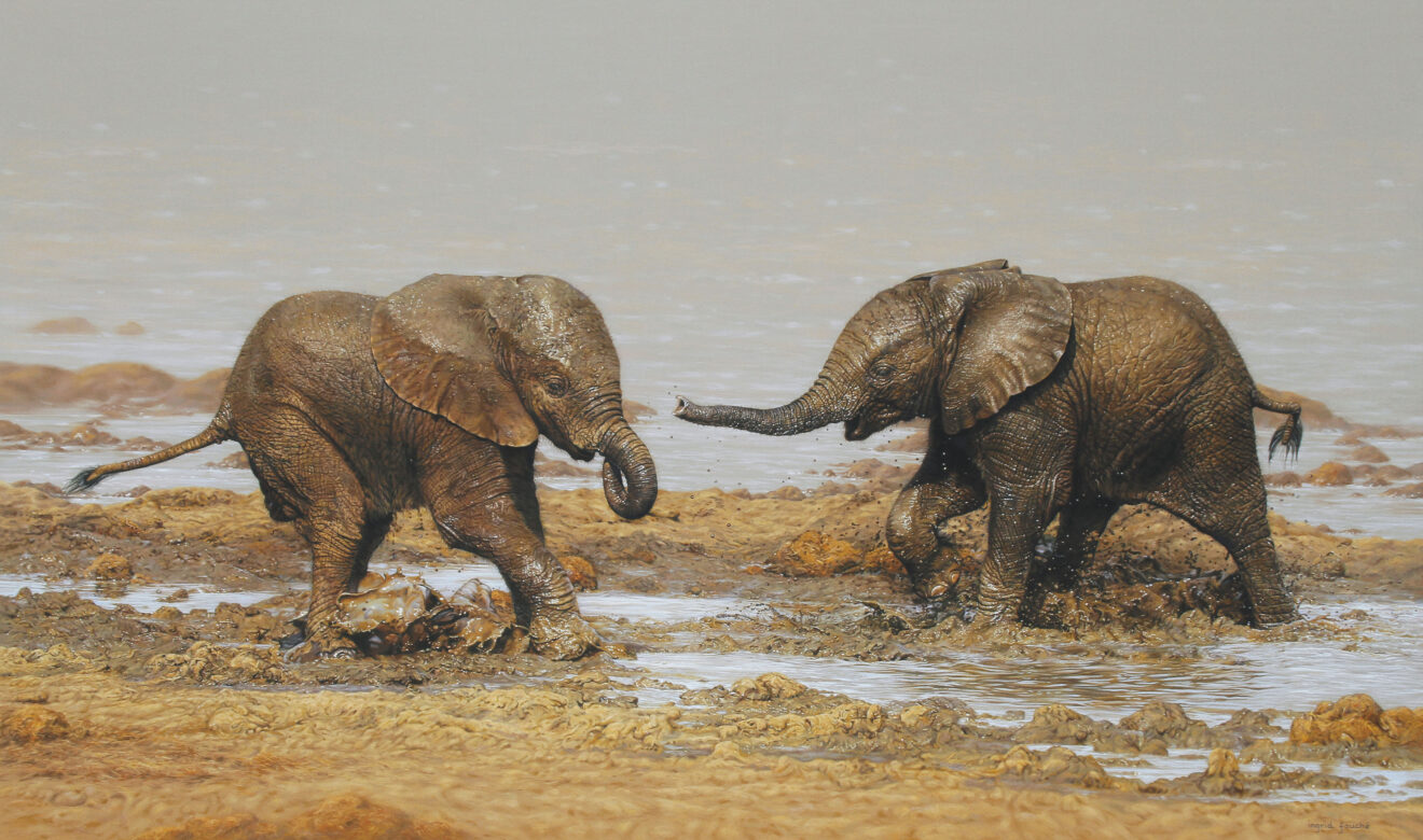 Elephant Art: Drawings, Paintings & More | David Shepherd Wildlife ...