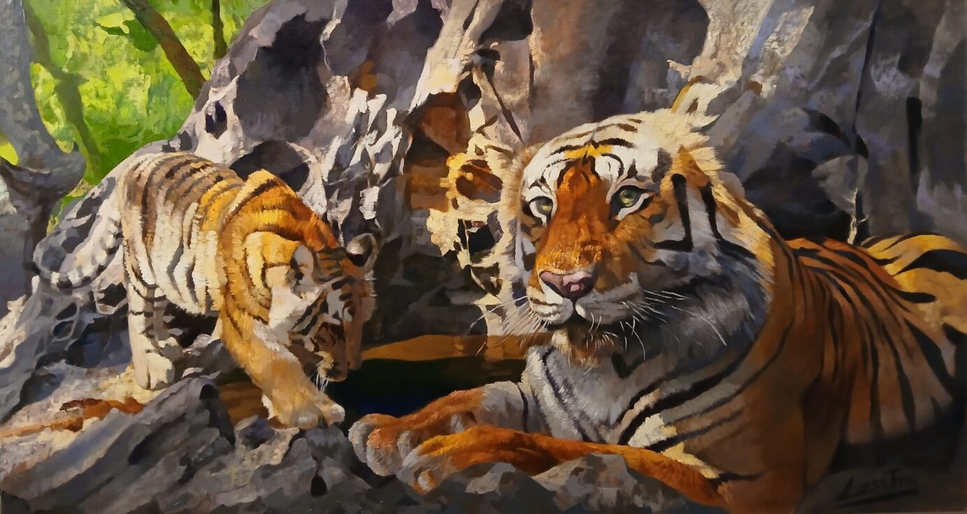 Tiger Conservation & Endangered Status | David Shepherd Wildlife Foundation