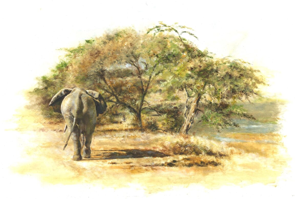 Elephant Art: Drawings, Paintings & More | David Shepherd Wildlife ...